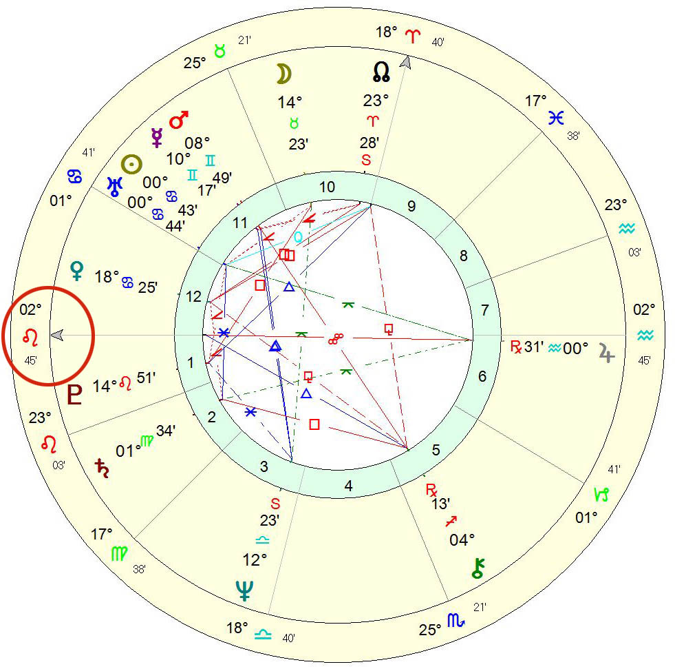 The Ascendant – jenny blume